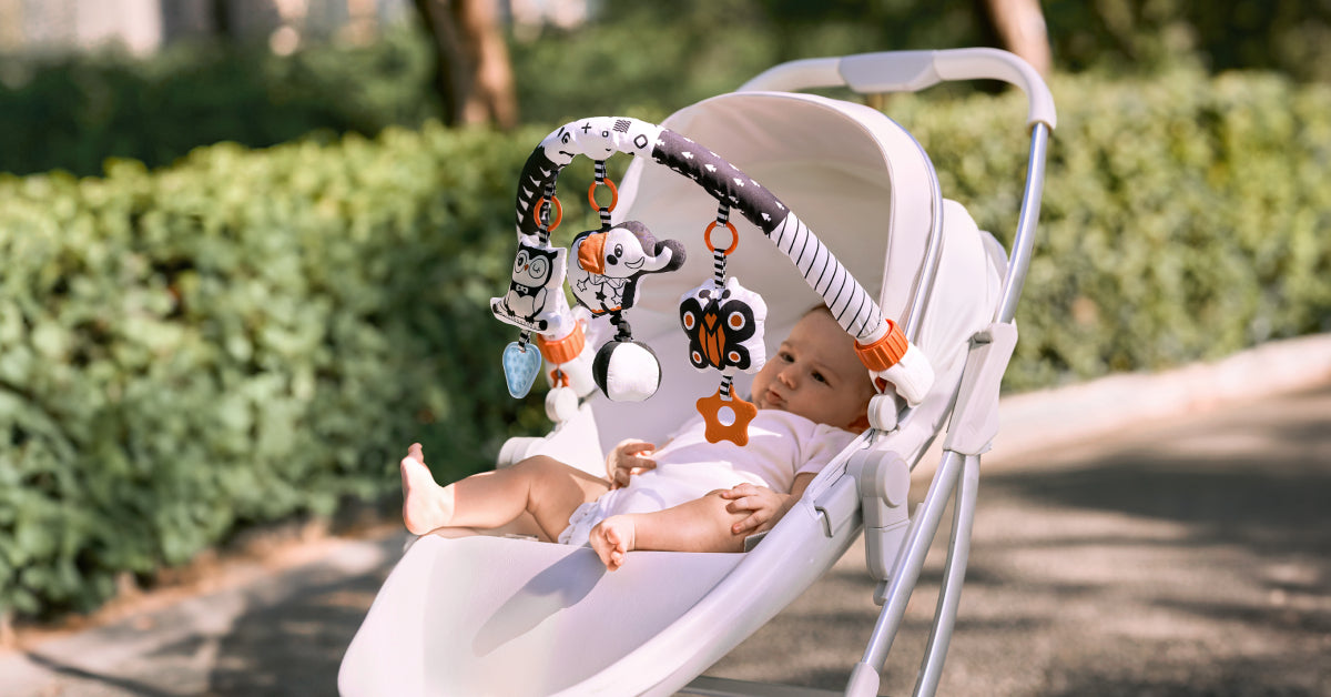 High Contrast Colors For Babies